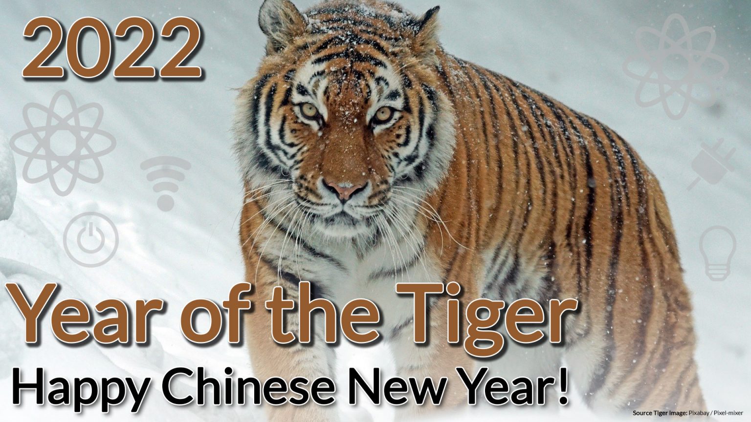 Chinese New Year 2002: Year of the Tiger – eWeLink community website